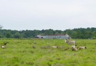 SEPANT - Etude Protection Aménagement de la Nature en Indre-et-Loire