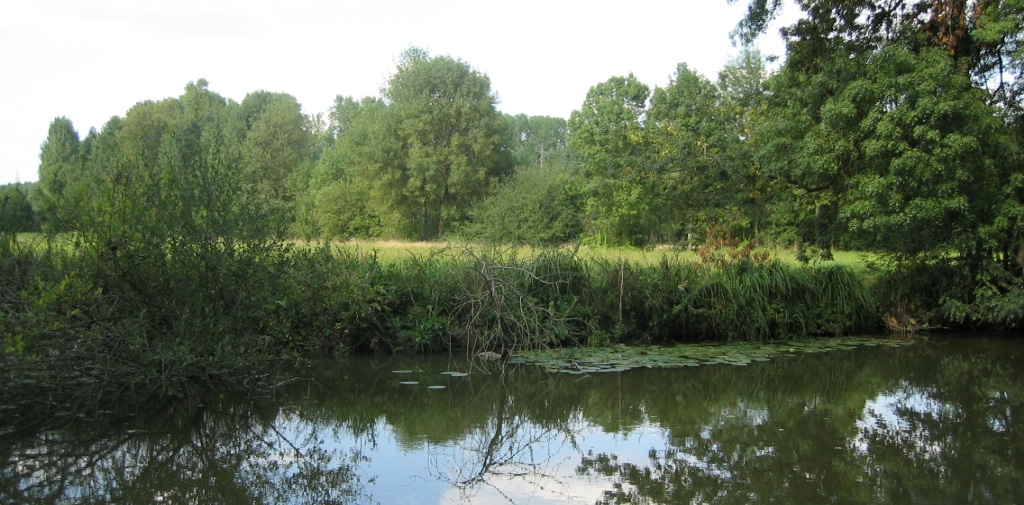 La SEPANT et la Loire : deux exemples d'actions de l'association - SEPANT