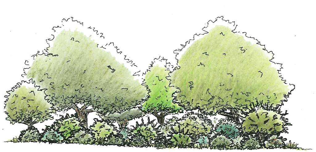 Aux arbres et caetera – SEPANT